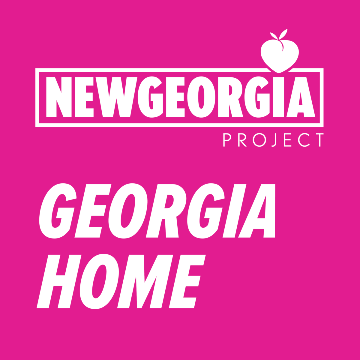 Home | New Georgia Project